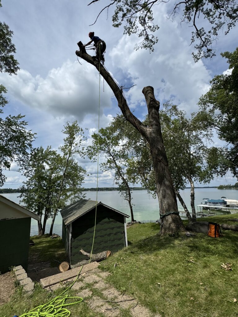 About - Blue Pine Works